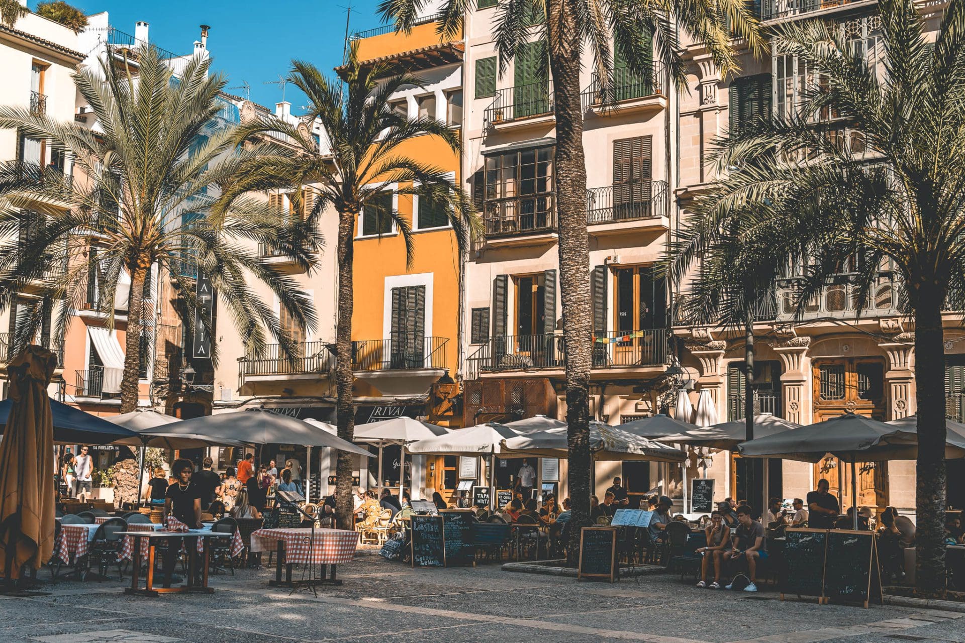 Mallorca: een heerlijk eiland met meer dan alleen alcohol - MANIFY