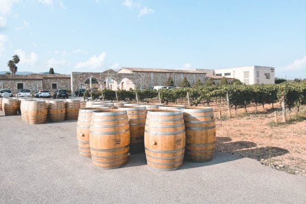 Mallorca: een heerlijk eiland met meer dan alleen alcohol - MANIFY