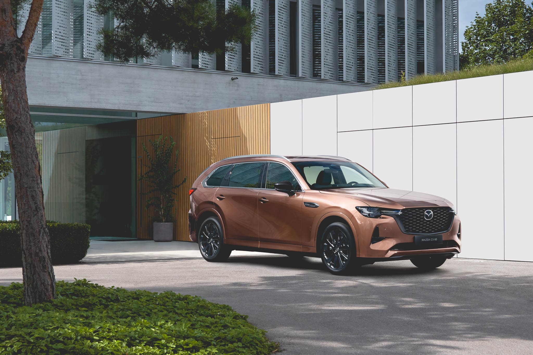 De Line-up Details van Mazda | MANIFY